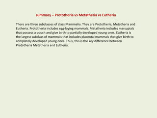 Comparative pro,mete,& eutheria, features of prototheria to eutheria ...