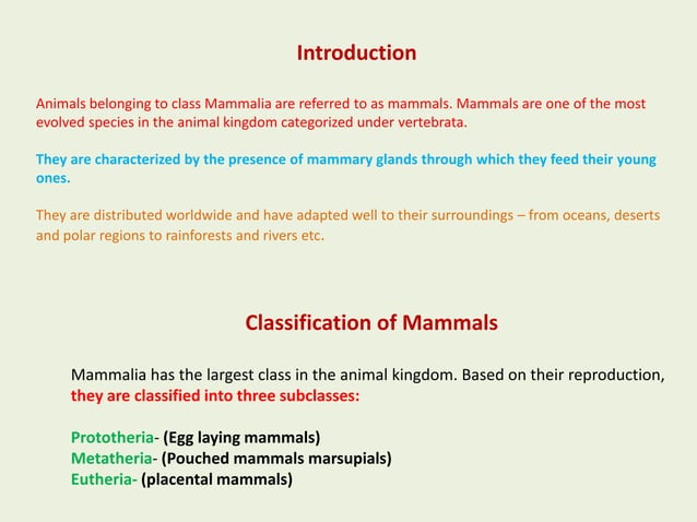 Comparative pro,mete,& eutheria, features of prototheria to eutheria ...