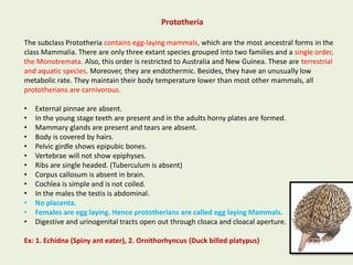 Comparative pro,mete,& eutheria, features of prototheria to eutheria ...