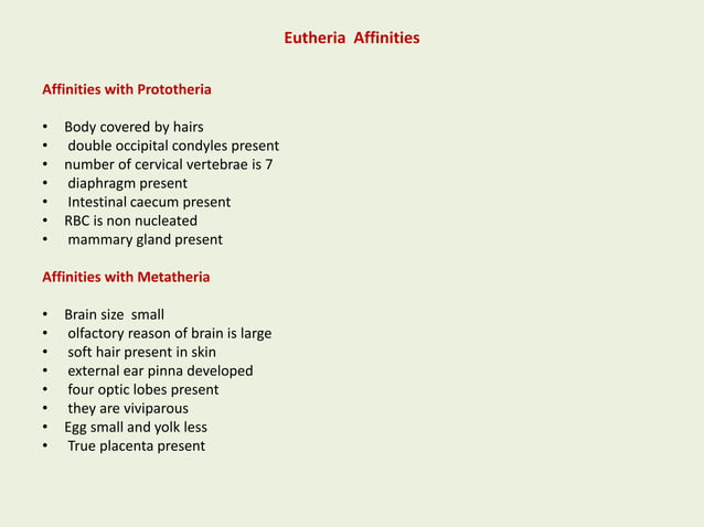 Comparative pro,mete,& eutheria, features of prototheria to eutheria ...