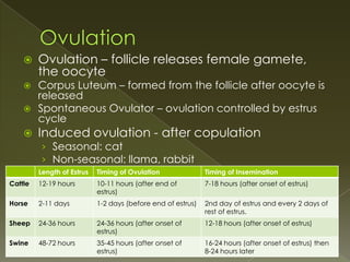 Comparative Reproductive Anatomy | PPTX