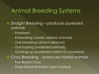 Comparative Reproductive Anatomy | PPTX