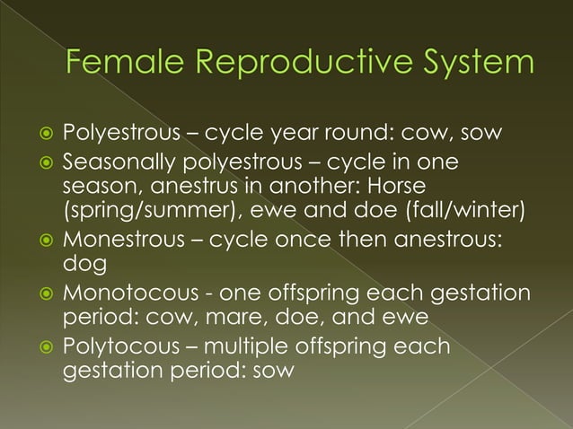 Comparative Reproductive Anatomy | PPTX | Infertility | Reproductive Health