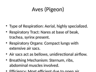 Comparative_Respiratory_System_Expanded.pptx