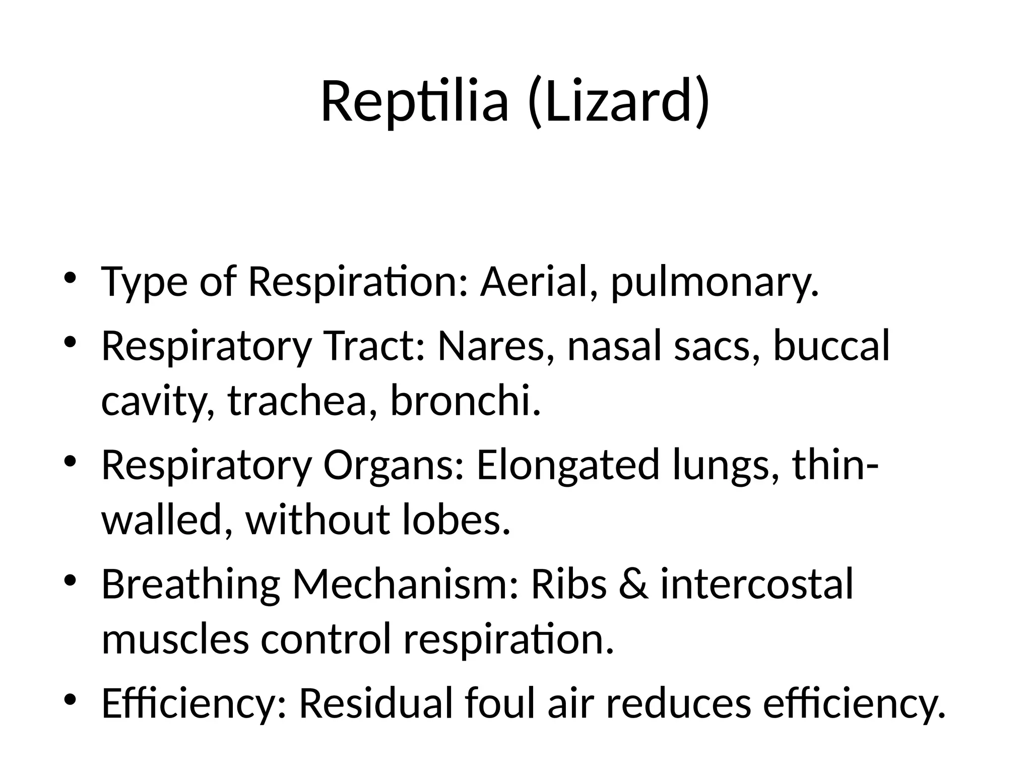 Comparative_Respiratory_System_Presentation.pptx