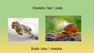 Comparatives | PPTX