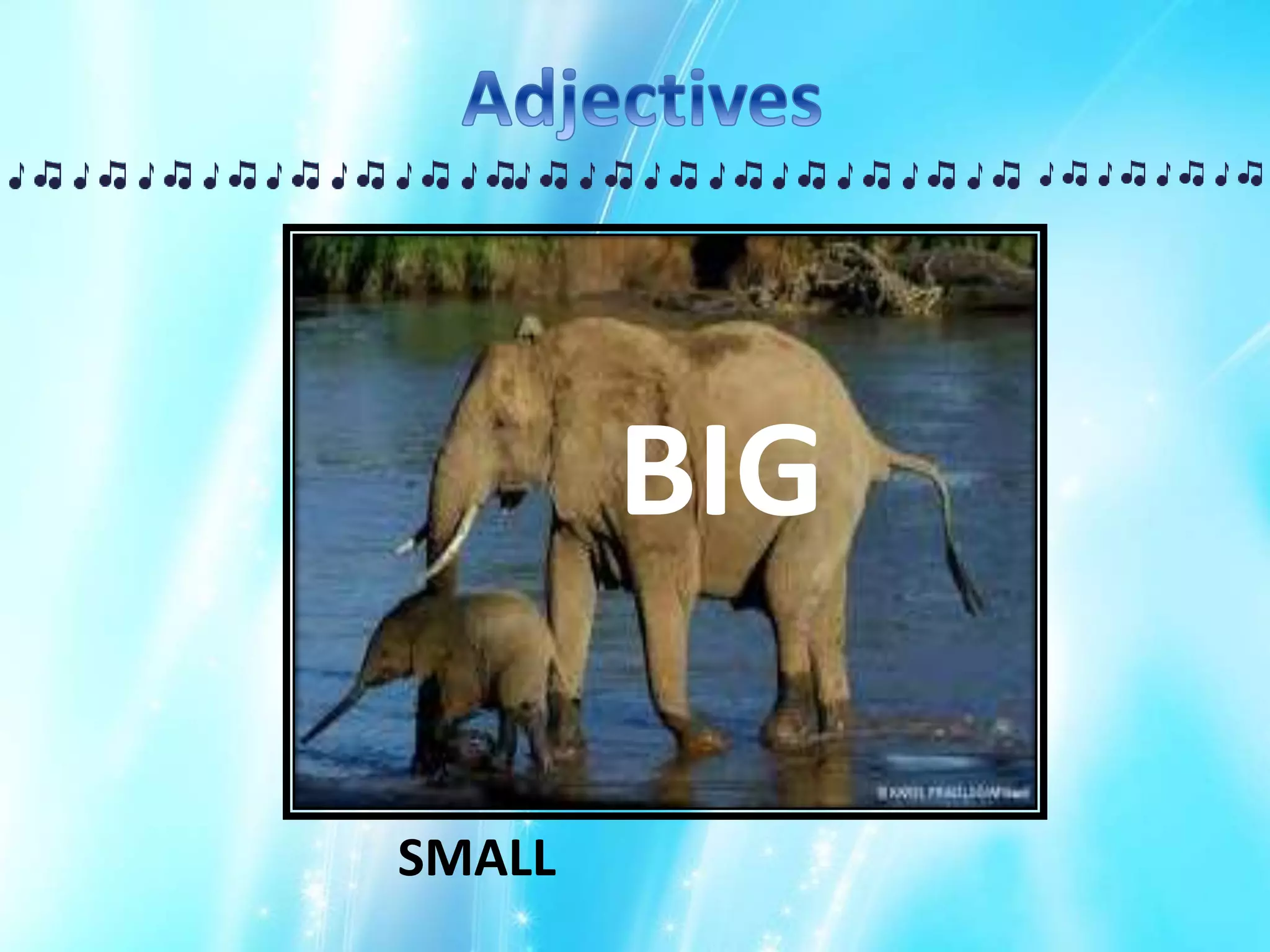 Comparatives and common adjectives in English for young learners | PPSX