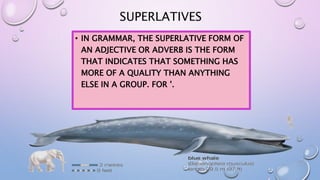 Comparatives and superlatives | PPTX