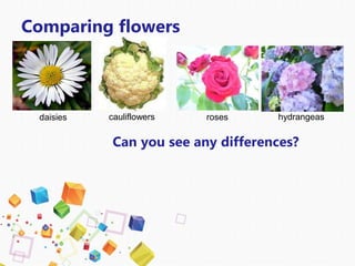 Comparatives and superlatives | PPTX