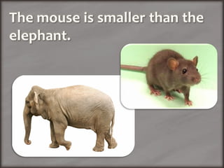 Comparatives pictures to describe | PPT
