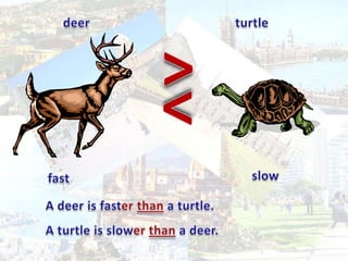 COMPARATIVES RULE | PPTX