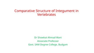 Comparative Structure of Integument in Vertebrates.pptx