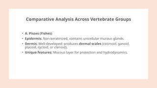 Comparative Structure of Integument in Vertebrates.pptx