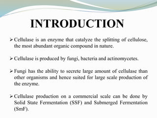 Comparative study of cellulase production by aspergillus niger and ...