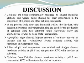 Comparative study of cellulase production by aspergillus niger and trichoderma viridae using ...