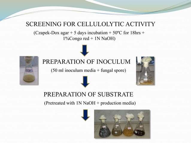 Comparative study of cellulase production by aspergillus niger and trichoderma viridae using ...