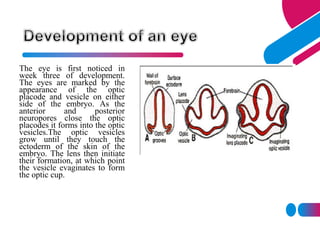 Comparative study of vertebrates | PPTX