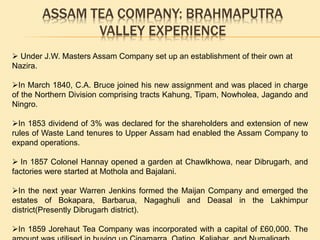 Comparative study on barak valley & brahmaputra valley tea industry | PPTX