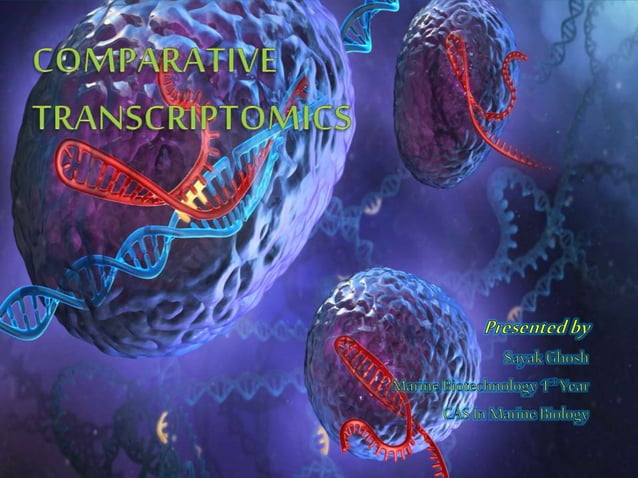 Comparative transcriptomics | PPTX | Biological Sciences | Science