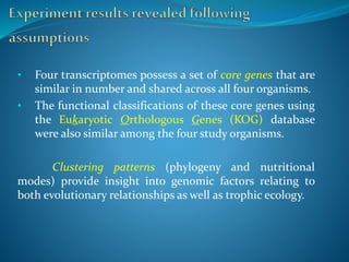 Comparative transcriptomics | PPTX