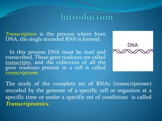 Comparative transcriptomics | PPTX