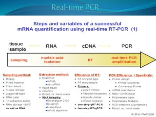 Comparative transcriptomics | PPTX