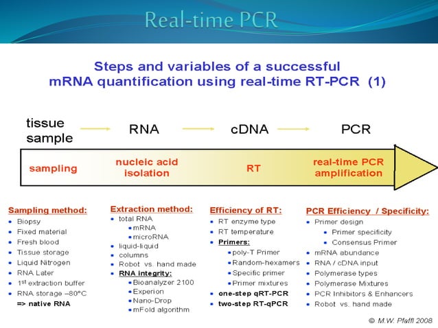 Comparative transcriptomics | PPTX | Biological Sciences | Science