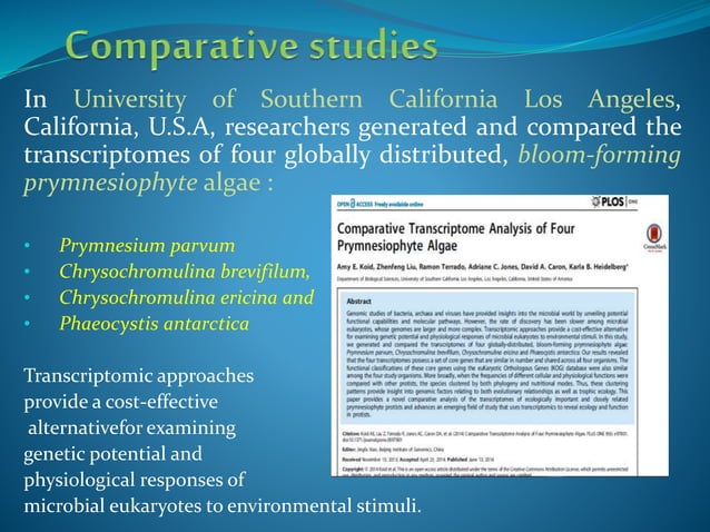 Comparative transcriptomics | PPTX | Biological Sciences | Science