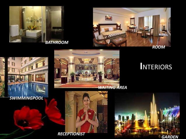 Frankfinn Hospitality(Comparison of 2 hotels).pptx