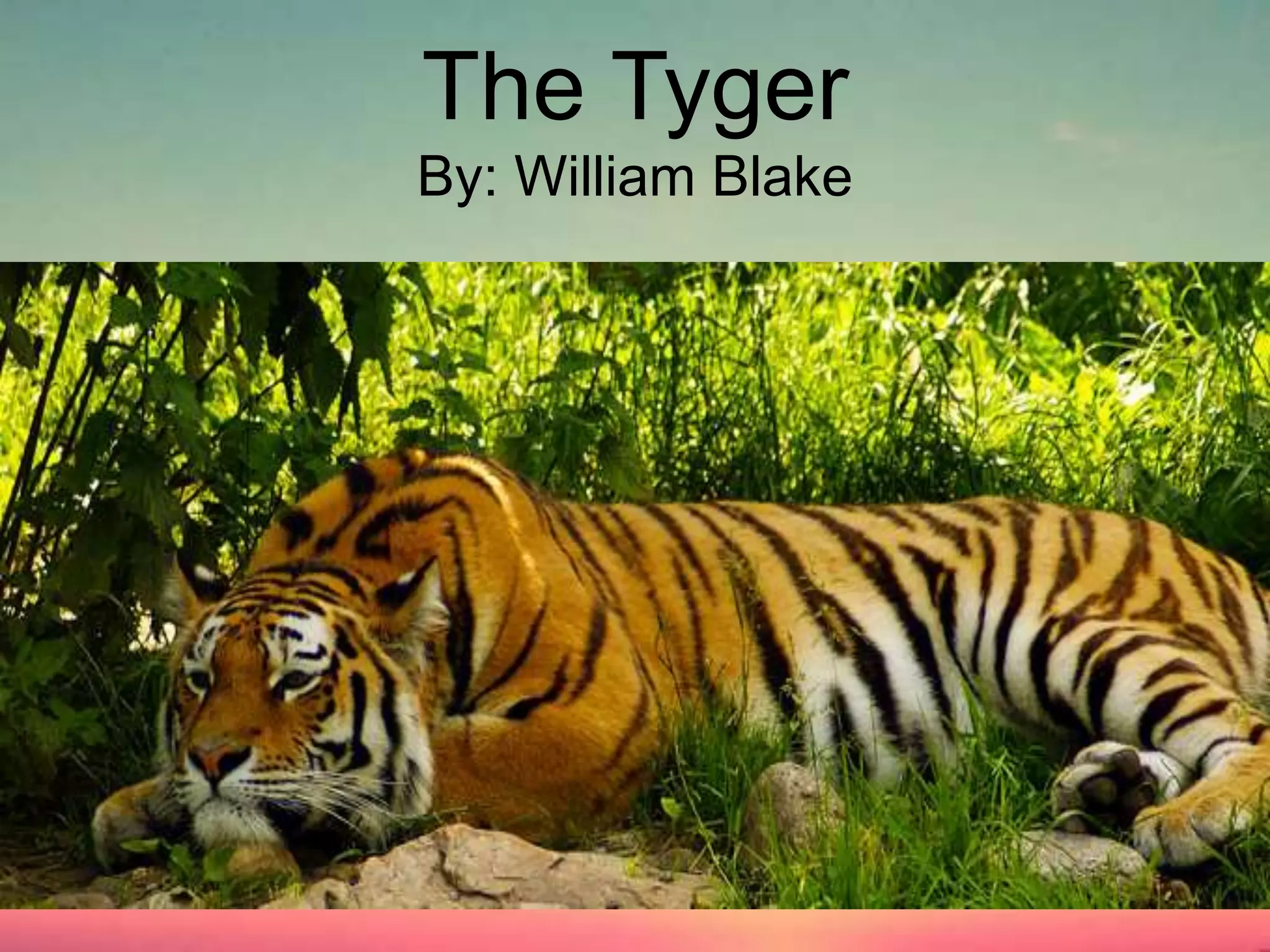 Life of Pi and The Tyger Compare and Contrast Essay | PPTX
