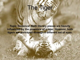 Life of Pi and The Tyger Compare and Contrast Essay | PPTX