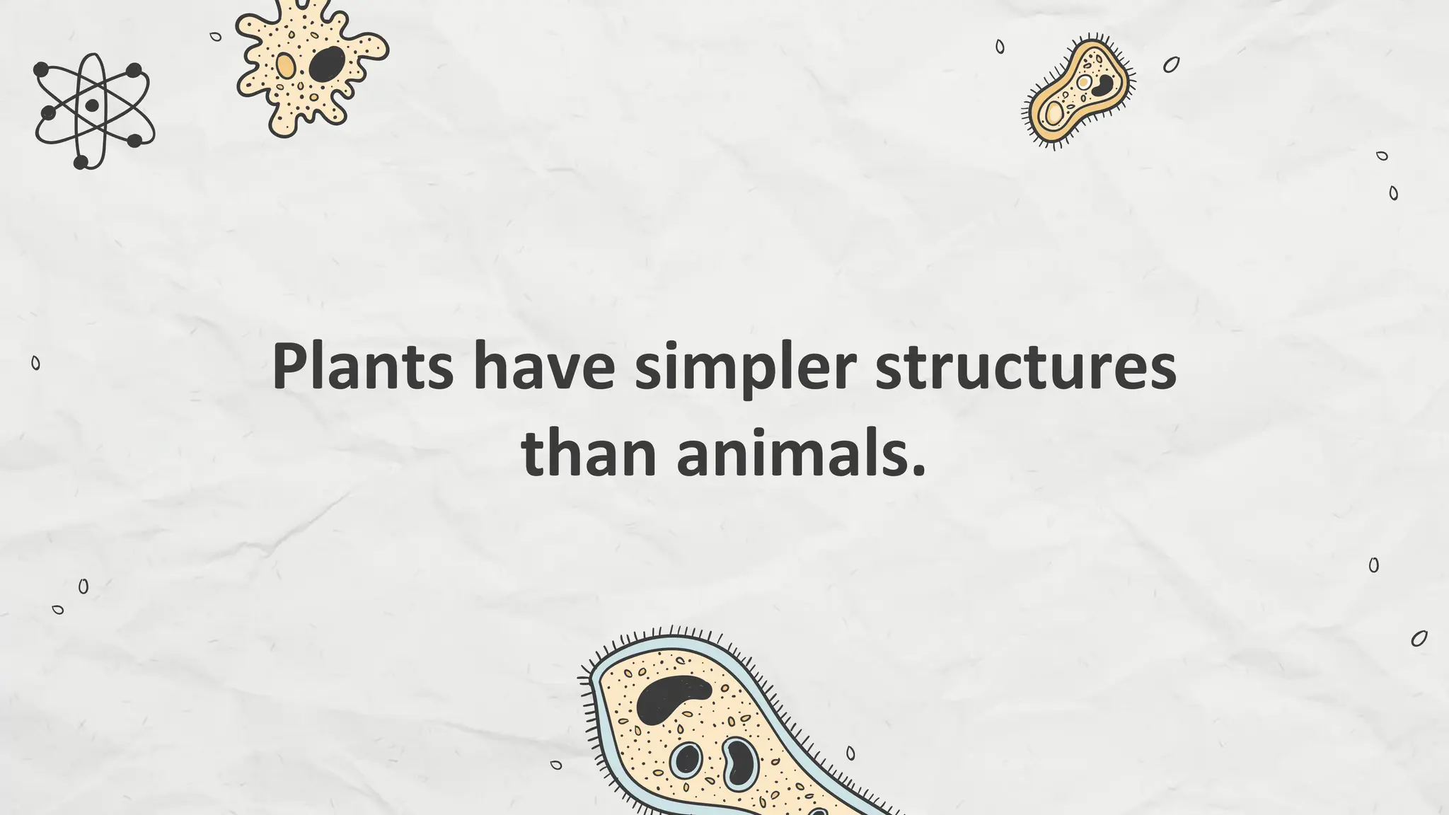 Compare and Contrast Processes in Plants and Animals - Transport and ...