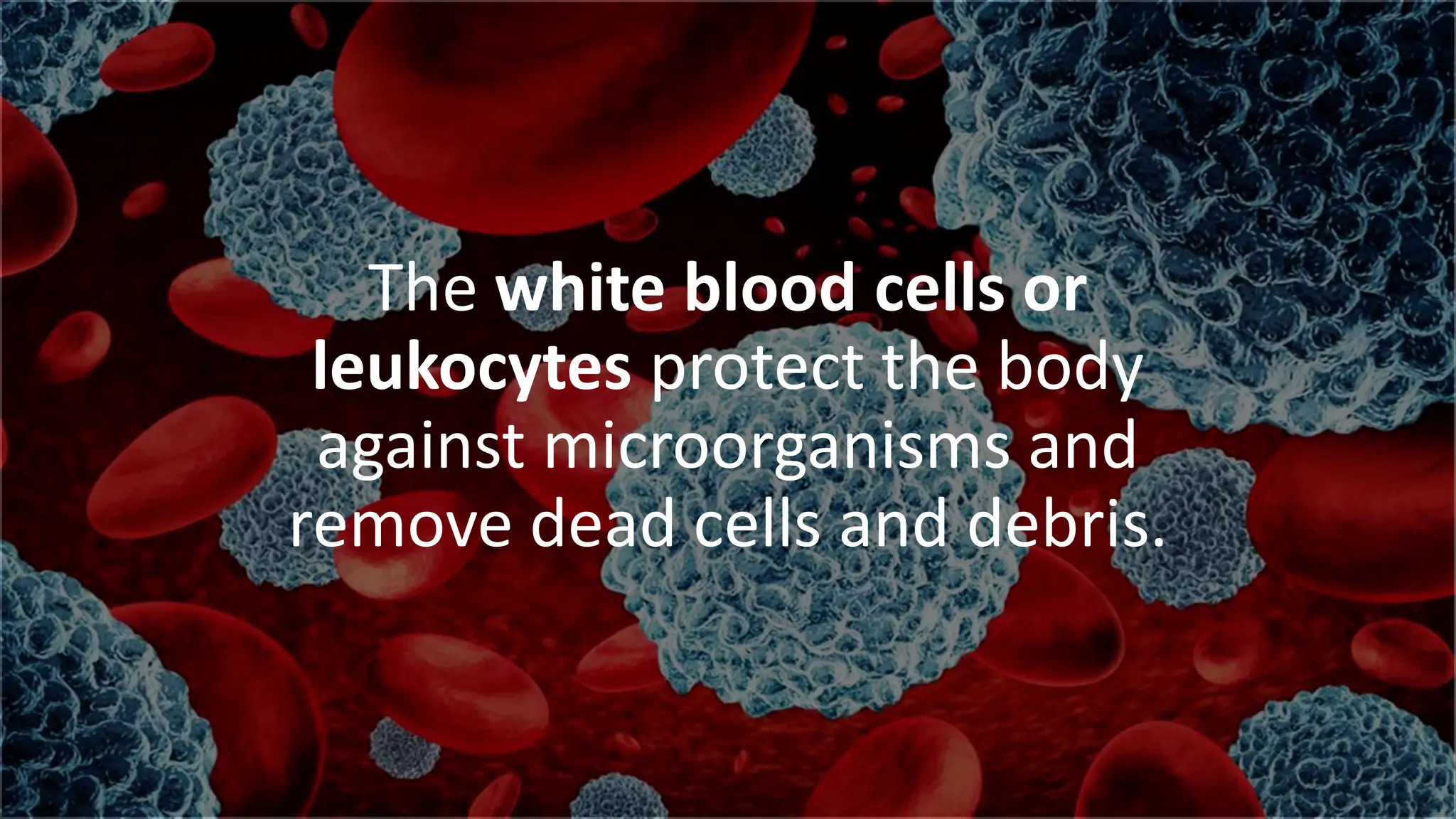 Compare and Contrast Processes in Plants and Animals - Transport and Circulatory.pdf