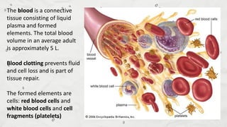 Compare and Contrast Processes in Plants and Animals - Transport and ...
