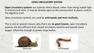 Compare and Contrast Processes in Plants and Animals - Transport and ...
