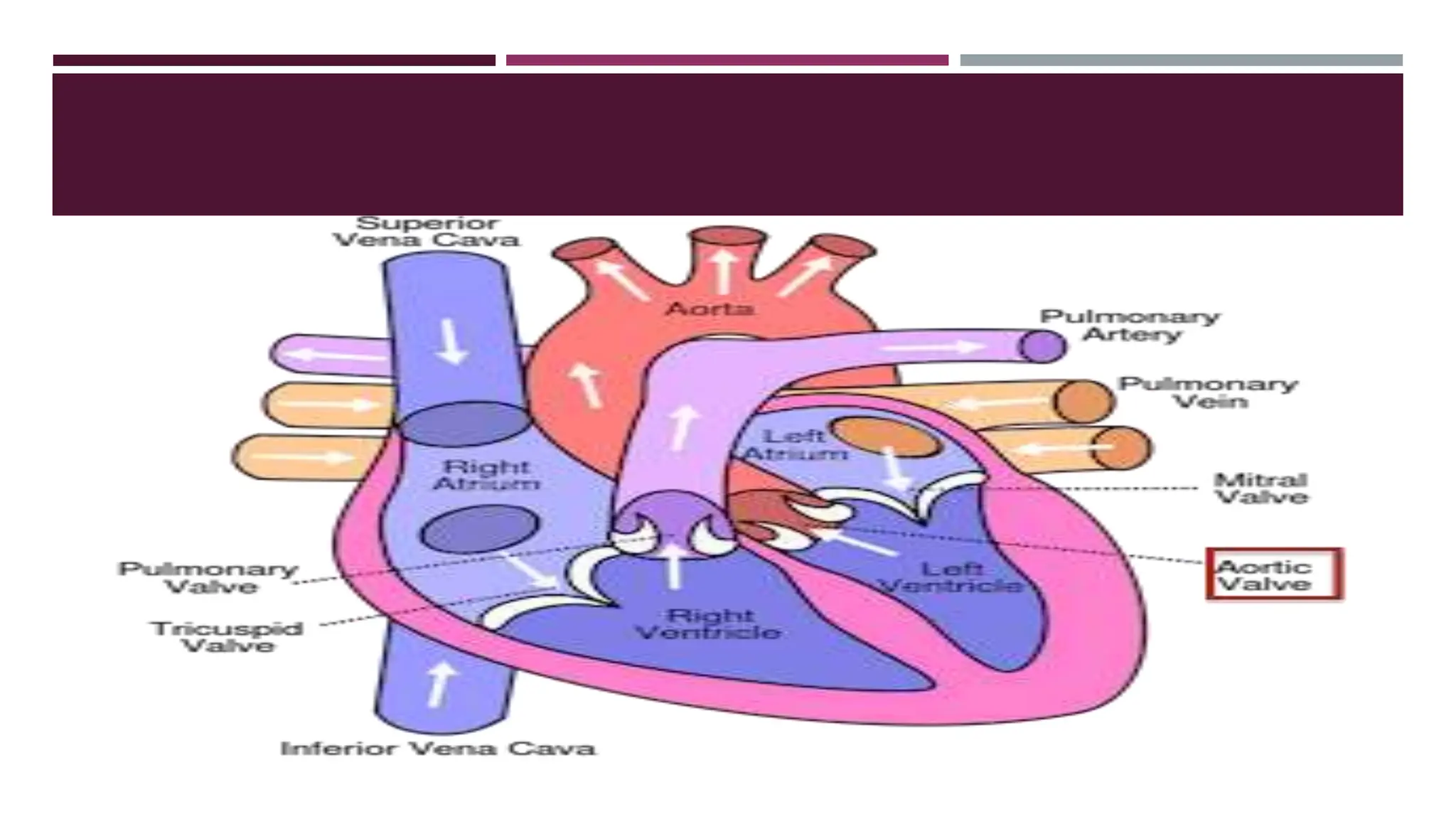 Compare and Contrast Same Topic in Different Multimodal.pptx