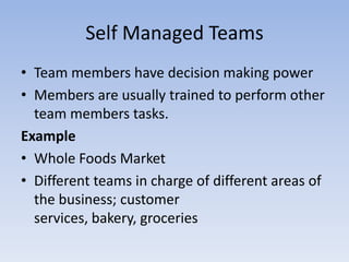 Self Managed Teams Examples