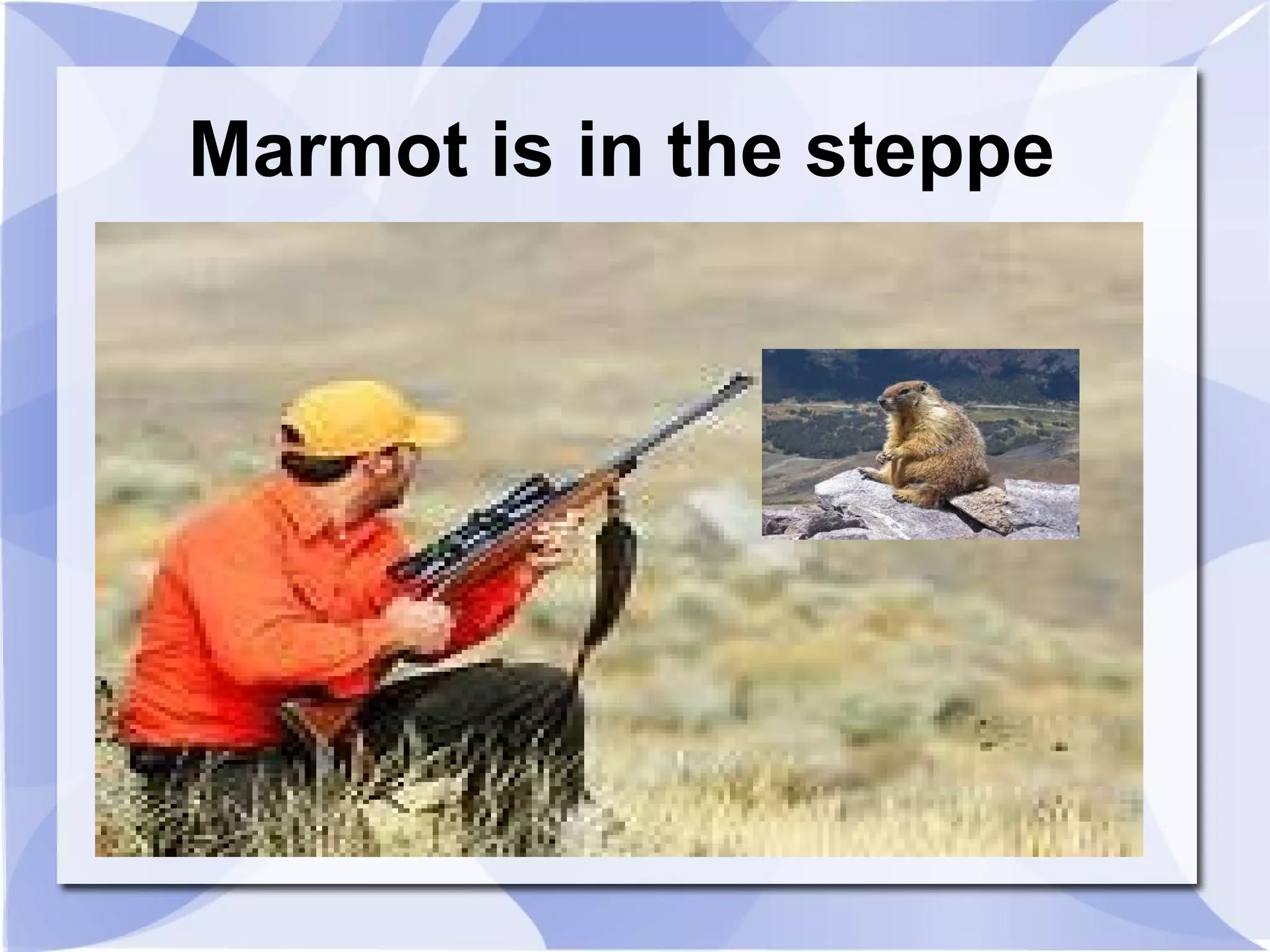 Compare animals | ODP