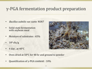 Compare the effects of γ pga fermentation products with... | PPTX