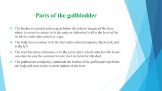 Compare the role of pancreas, liver and gallbladder in digestion | PPTX