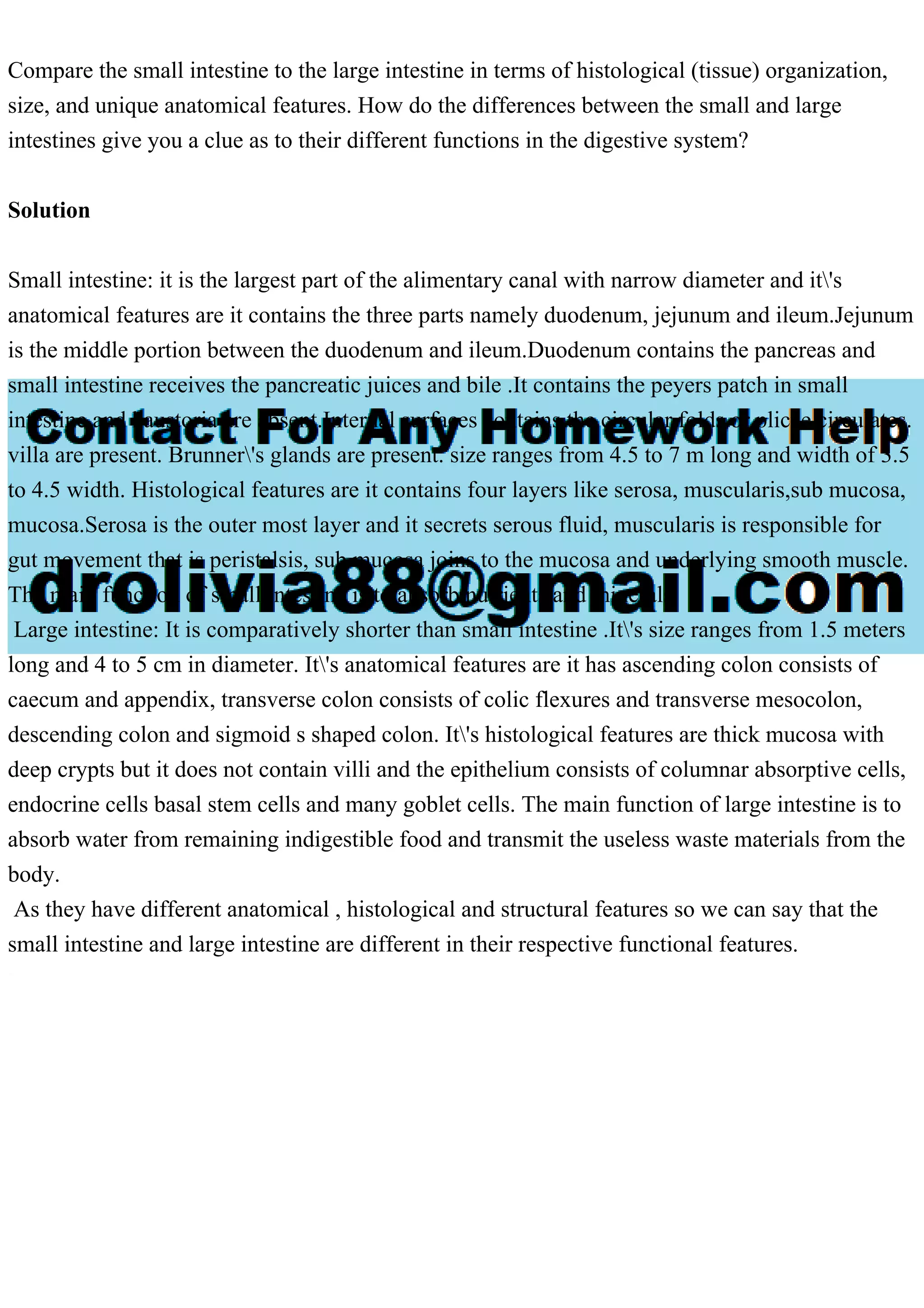 Compare the small intestine to the large intestine in terms of histo.pdf