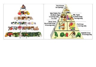 Compare the two pyramids | DOC