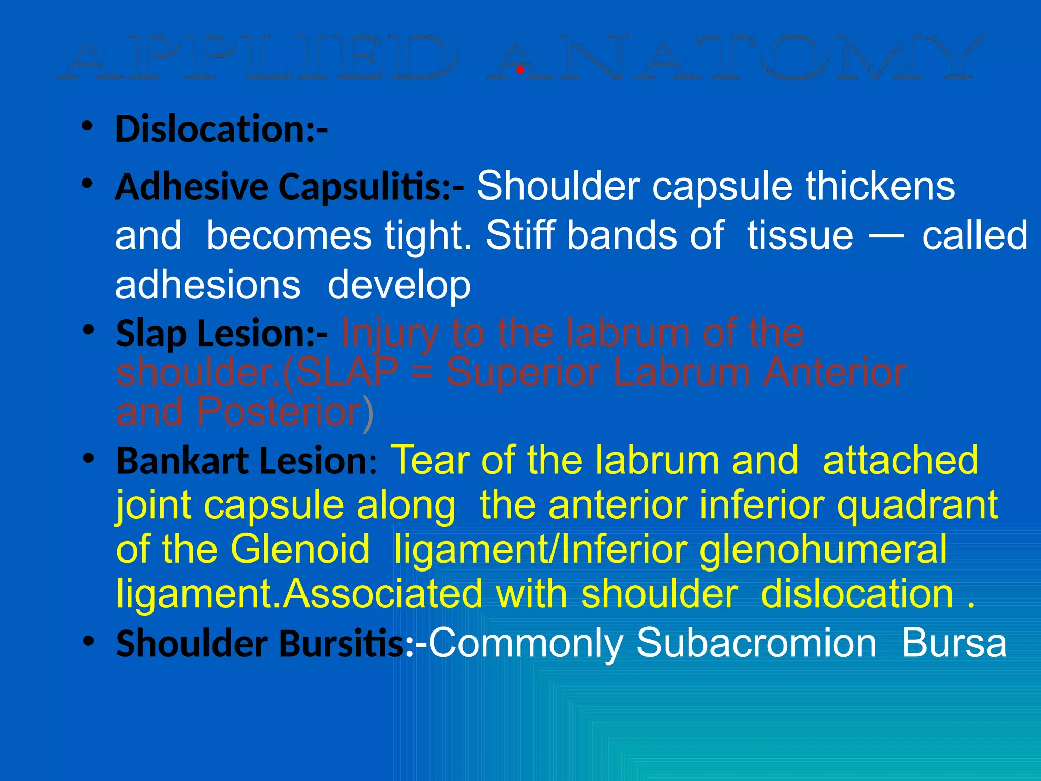 Comparetive anatomy & kinesiology of large important synovial joint of ...