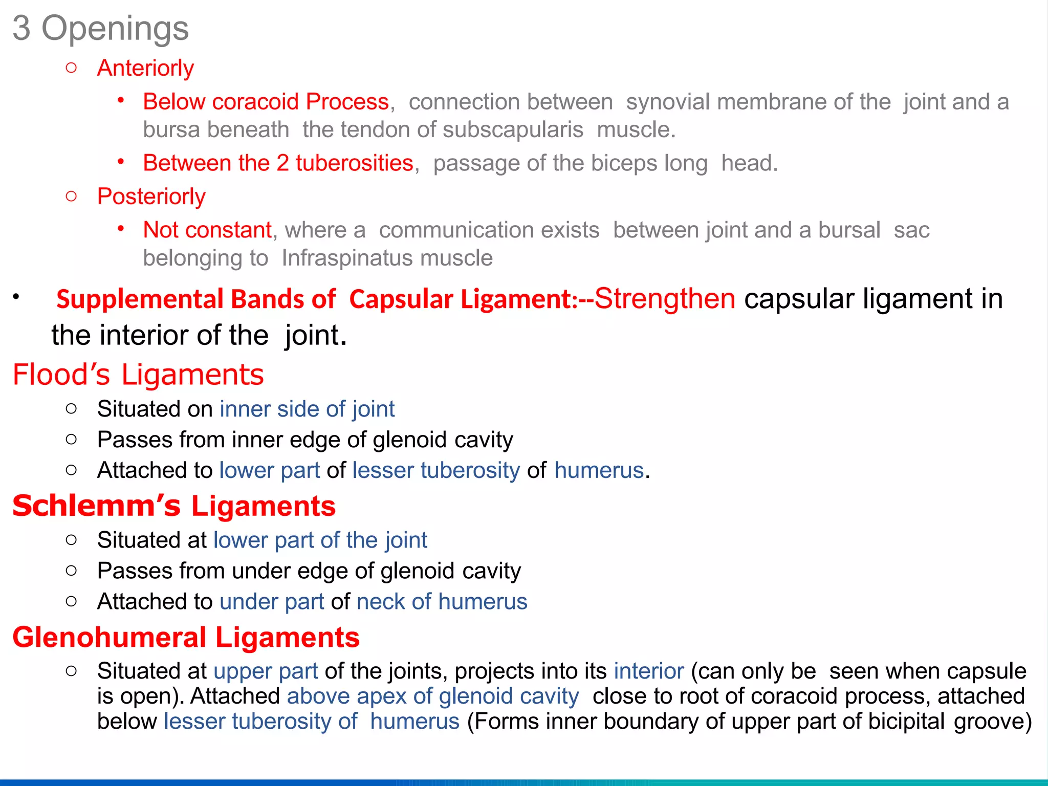 Comparetive anatomy & kinesiology of large important synovial joint of ...