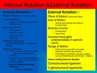 Comparetive anatomy & kinesiology of large important synovial joint of ...