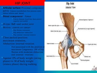 Comparetive anatomy & kinesiology of large important synovial joint of ...