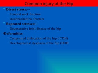 Comparetive anatomy & kinesiology of large important synovial joint of ...