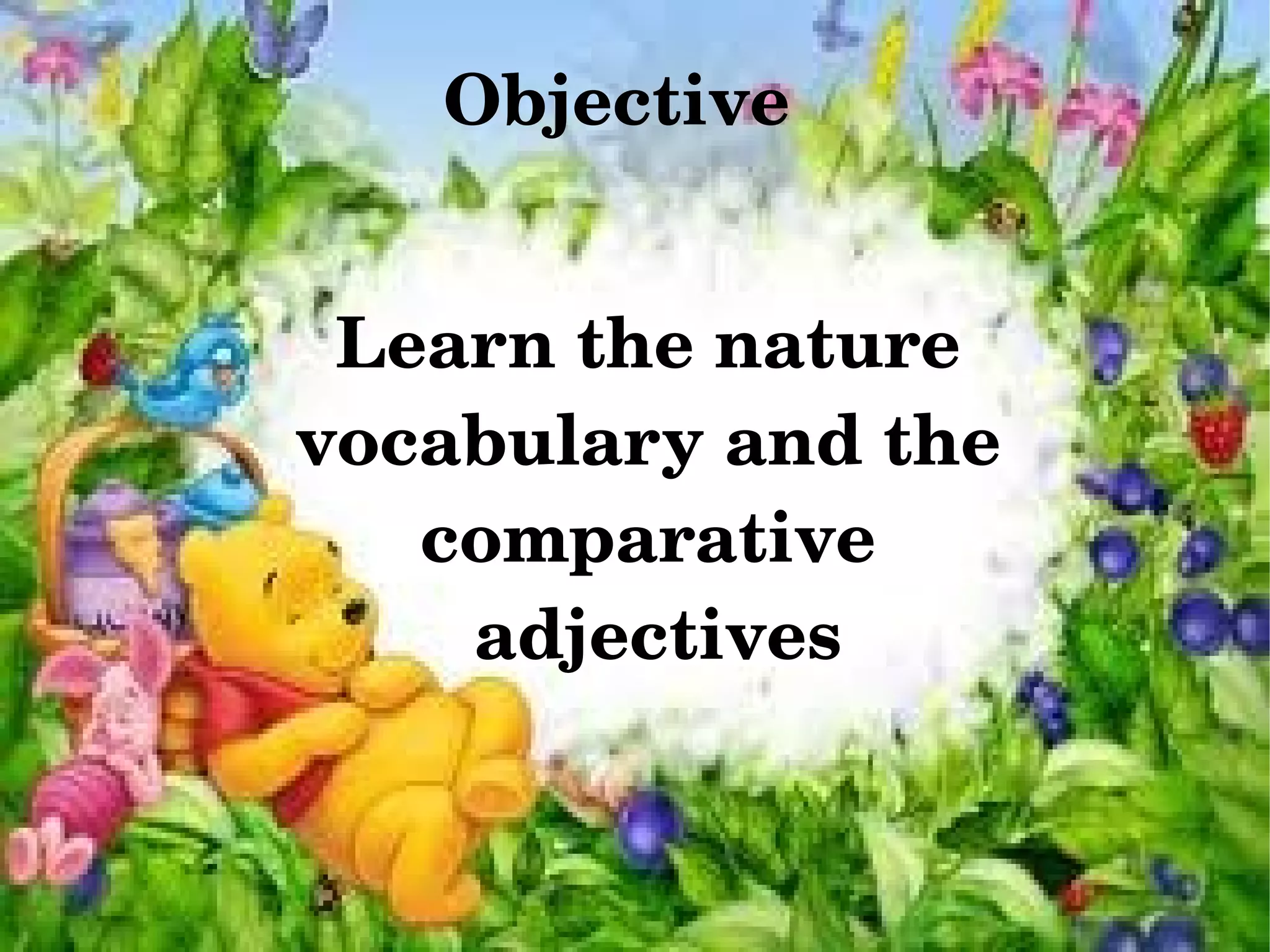 Comparing animals | ODP