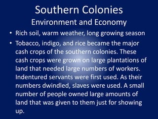 Southern Colonies Crops