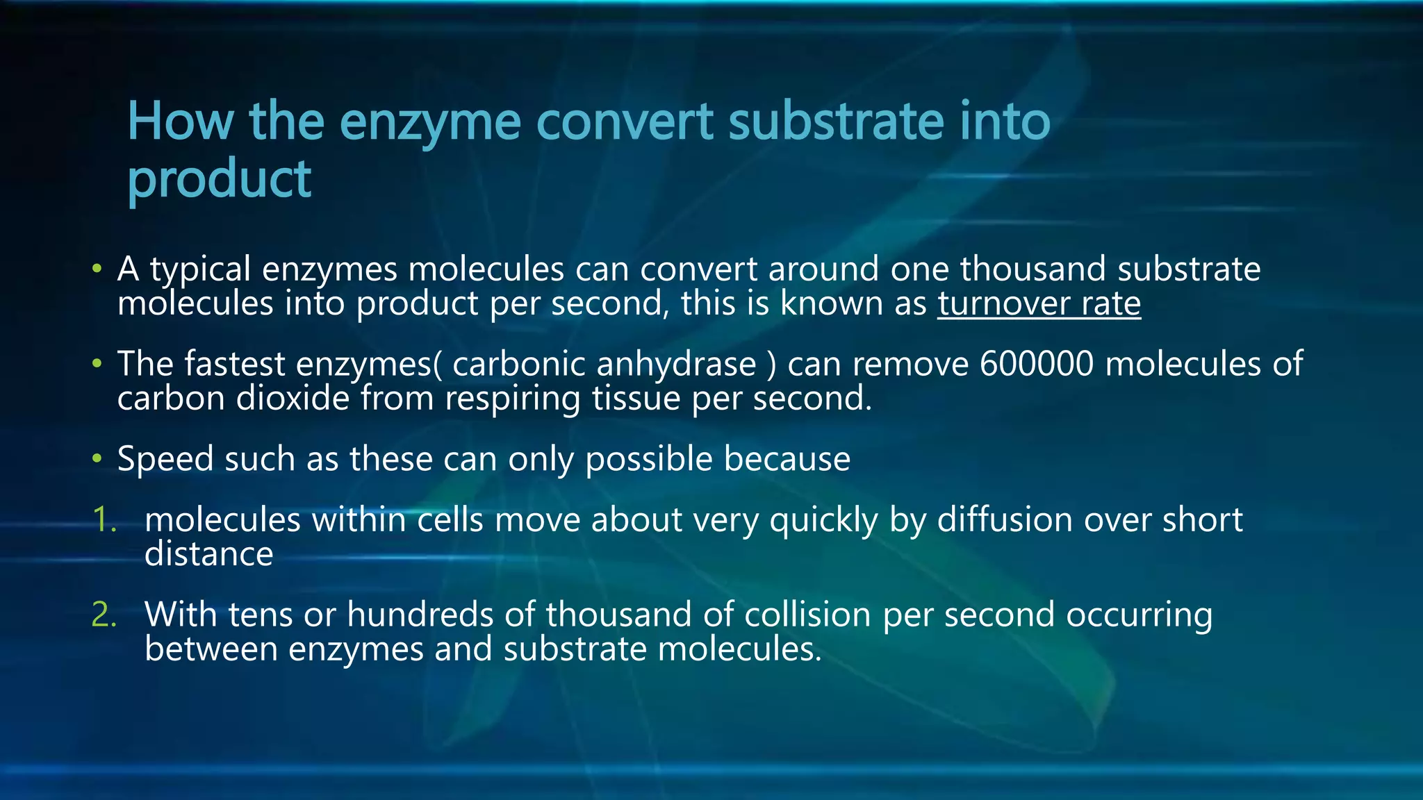 Comparing Enzyme Affinity (1) (1).pptx